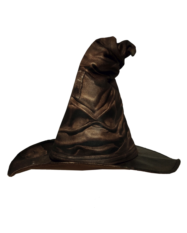 Disfraz Acc. Harry Potter Gorro Clasificacion Talla Unica - LIRAGRAM